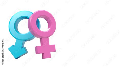 D Rendering Images Of Male And Female Sex Symbols That Are Equal Or Live Together Focus On