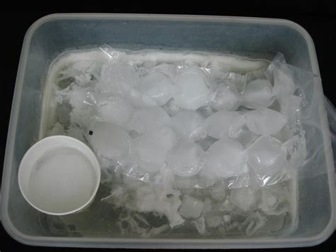 [호기심 과학] 직접 만든 얼음보다 편의점 얼음이 더 천천히 녹는다 더 단단하고 오래가는 얼음에 담긴 과학 원리