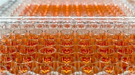 Understanding Cell Viability Measurement Importance And Assays Danaher Life Sciences