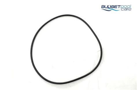 Astral Pool Hurlcon Qx Cartridge Filter Tank Oring At Budget Pool Care