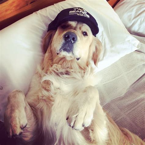 🔥the Ultimate Two Beards Coffee Fan Two Beards Coffee