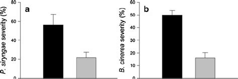 Effect Of T Atroviride On Induced Systemic Resistance In Arabidopsis Download Scientific