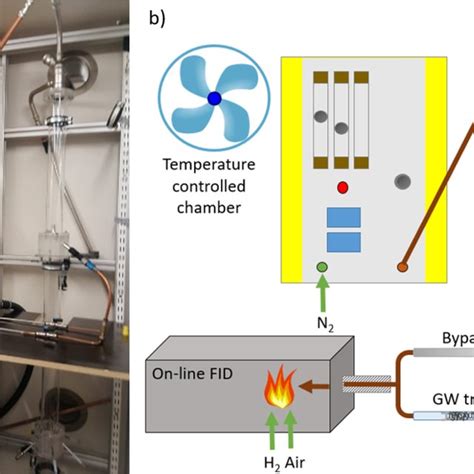 Experimental Setup Within The GC Oven For The Determination Of Download Scientific Diagram