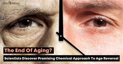 Is Age Reversal Not A Myth Anymore Harvard Scientists Unveil Revolutionary Chemical Method To