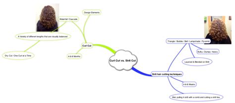Cultivate Your Curls WithThe MAP Method Online Course