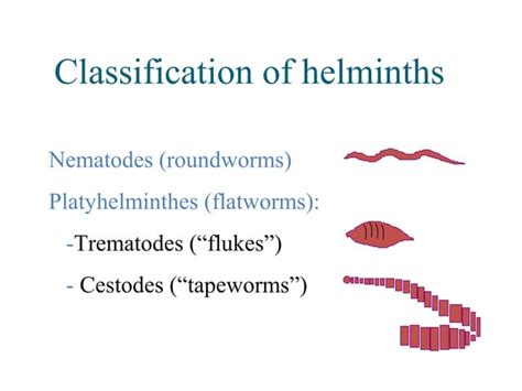 Helminthiasis Helminthic Infection Ppt