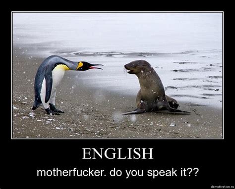 English Motherfucker Do You Speak It Know Your Meme