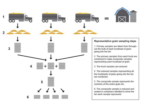 Guide To Taking A Representative Sample