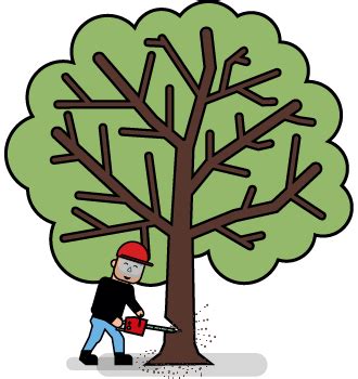 Tree Felling Section Felling London Tree Surgeons