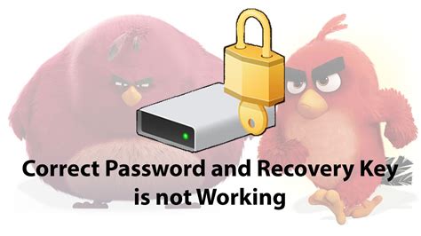 Solved Bitlocker Won T Unlock With Correct Password And Recovery Key After Reinstalling Windows