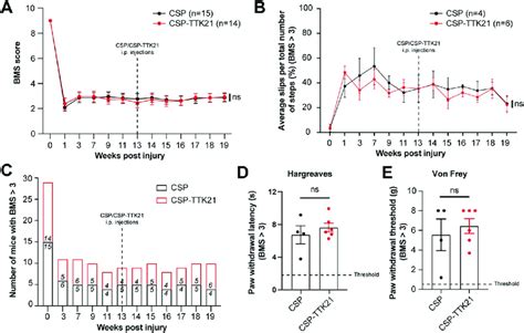 Sensorimotor Behavioural Tests After Csp Ttk21 Treatment In Chronic Sci