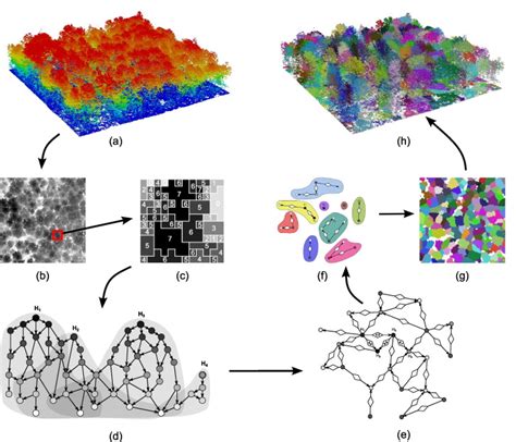 Overview Of The Segmentation Method A The Initial Lidar Point Cloud
