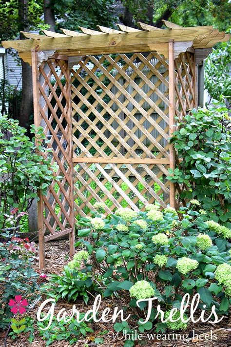 While Wearing Heels DIY Garden Trellis