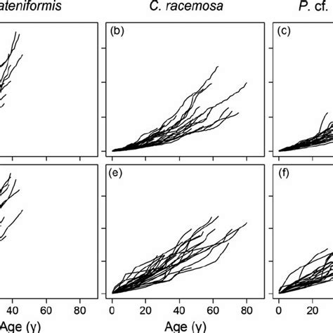 Growth Patterns Of Individual Juvenile Trees Of Three Tropical Tree Download Scientific Diagram