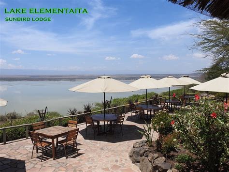Sunbird Lodge Elementaita Bar And Lounge Pictures And Reviews Tripadvisor