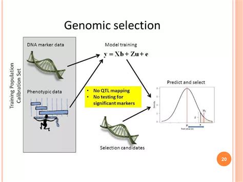 Genomic Selection For Crop Improvement Pptx Agriculture Industries