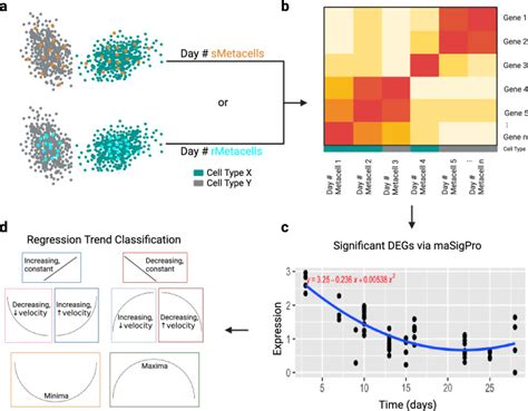 metacell based differential expression analysis identifies cell type