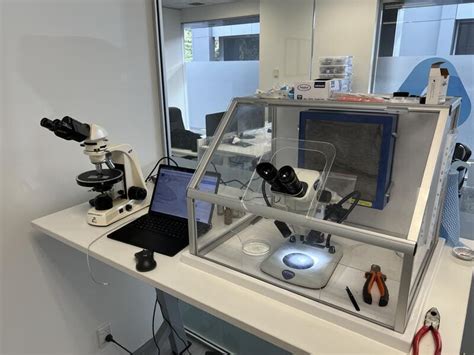 Asbestos Analysis And Identification Consultex Laboratories