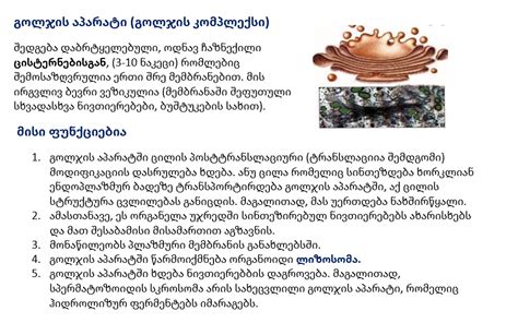 მე ვარ აბიტურიენტი