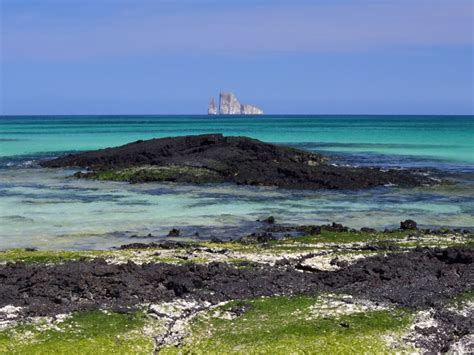 Understanding The Derivative Classification Manual The Document That Provides Basic Guidance