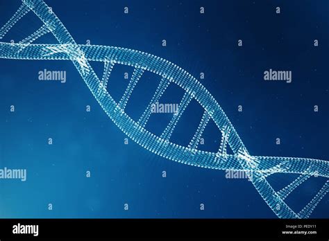 Human Dna Code