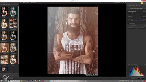 Optimizar Analog Efex Pro 2 Guardar Exportar E Importar