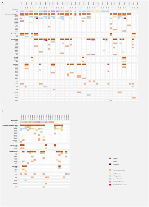 Genomic Alterations In Srccs By Targeted Panel Sequencing A Genomic