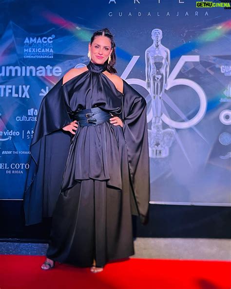 Liz Gallardo Wiki Biography Age Gallery Spouse And More