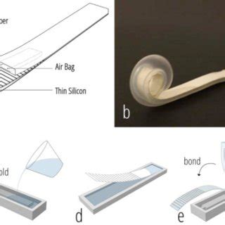 Diagram Of Composite Structure Structure Layer I Responds Download Scientific Diagram