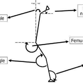 Angular Measurements Download Scientific Diagram