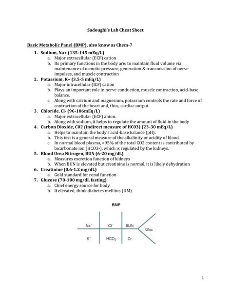 Sadoughi Lab Cheat Sheet