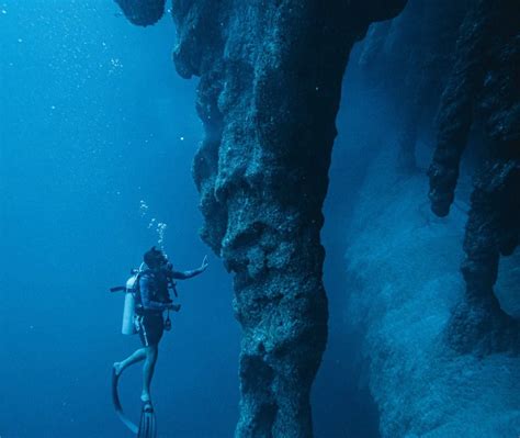 Belize Scuba Diving Adventures Sandy Point Resorts