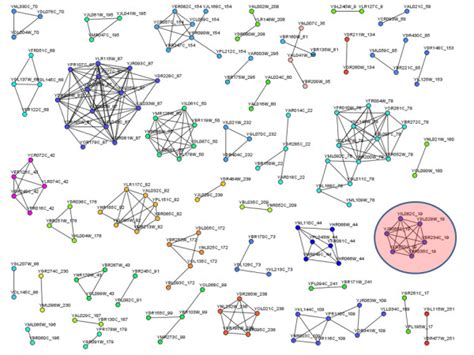 Clustering Coefficient A Node V Behaves Like A Hub But It Has