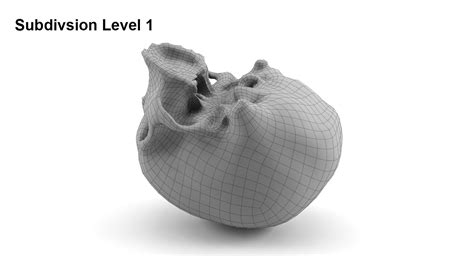 인간의 두개골 3d 모델 99 Max 3dm 3ds C4d Dae Lwo Skp Wrl Free3d