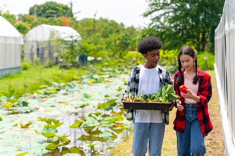 What Is Spaced Practice And How To Use It Oxford Learning