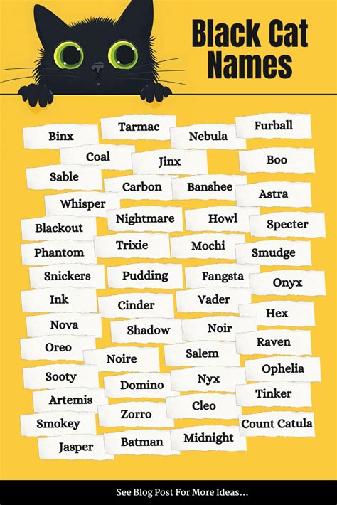 The Ultimate List Of Emo Cat Names Cute Cat Names Unique Cat Names