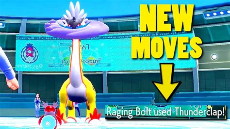 Why Raging Bolt Is Even Better Than We Thought Youtube