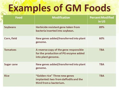 Genetically Modified Foods And Their Impact On Human Health Elite