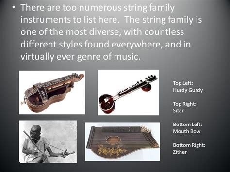 Indian String Instruments List With Pictures At Meagan Burlingame Blog