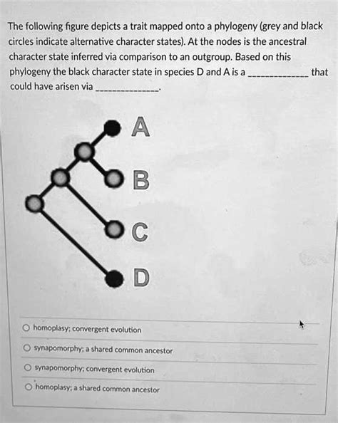 The Following Figure Depicts A Trait Mapped Onto A Phylogeny Grey And