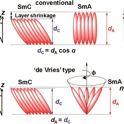 Schematic Representation Of Sma And Smc Phases According To The Download Scientific Diagram