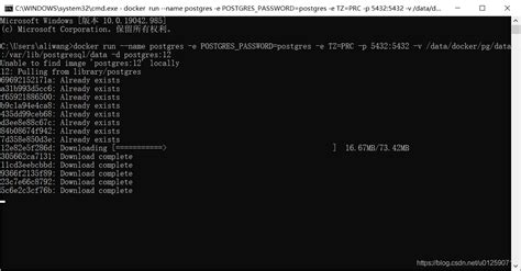 Windows使用docker安装postgresqlwindows Docker Postgresql Csdn博客