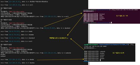 TCP实现公网服务器和内网客户端一对多访问 C语言实现 舟清颺 博客园