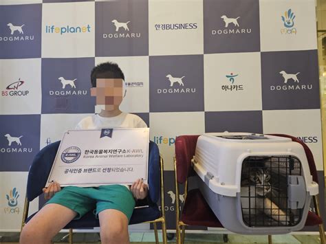 코리안숏헤어 젤리 말티폼키우는방법 보더콜리키우는방법 프렌치불독키우는방법 빠삐용키우는방법 파피용키우는방법 사모예드키우는방법 스피츠키우는방법 시바견키우는방법 시베리안허스키키우는