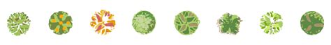 Symbolizing Trees In Arcgis Assigning Each Species A Different Symbol