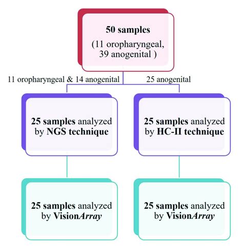 Flow Chart Of The Analyzed Specimens NGS Next Generation Sequencing Download Scientific