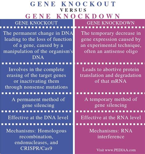 What Is The Difference Between Gene Knockout And Knockdown Pediaacom