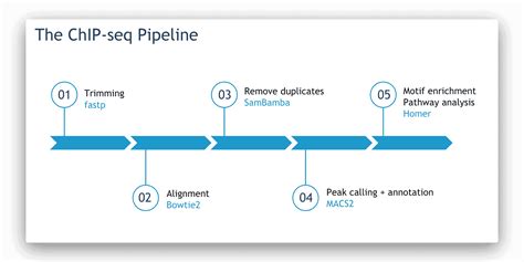 pathway enrichment analysis for chip seq data basepair blog