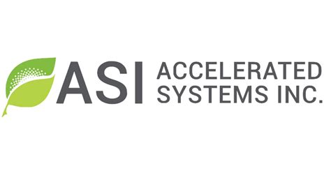 Collections Accelerated Systems Inc
