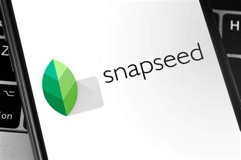 How To Download Snapspeed For Pc Free Download For Windows 10 Whatsabyte